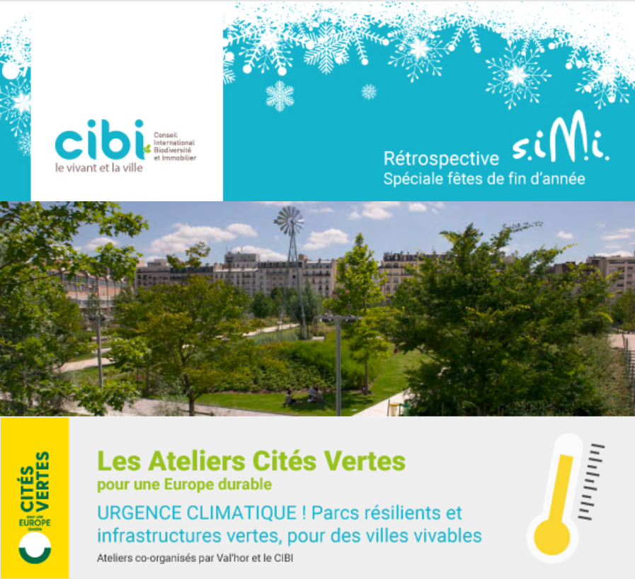 CIBI (IBPC) | Restrospective SIMI